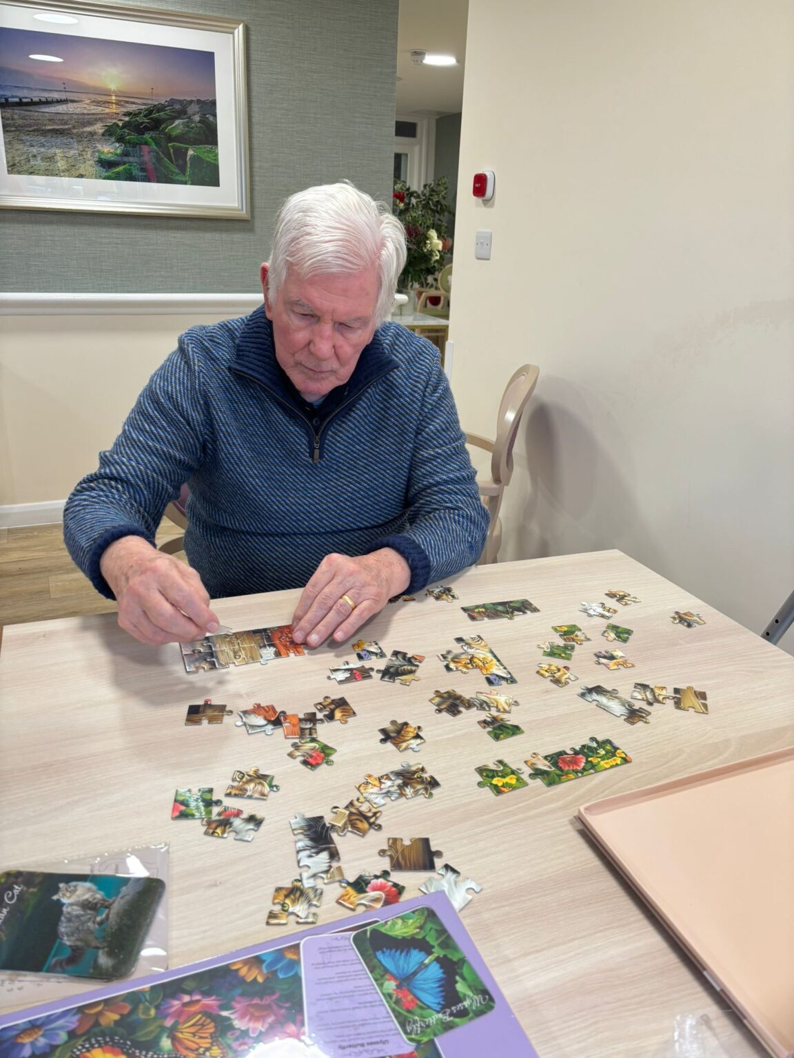 Kingsclere Court Art and Puzzle Fun: Creative Minds at Work - Netto Care